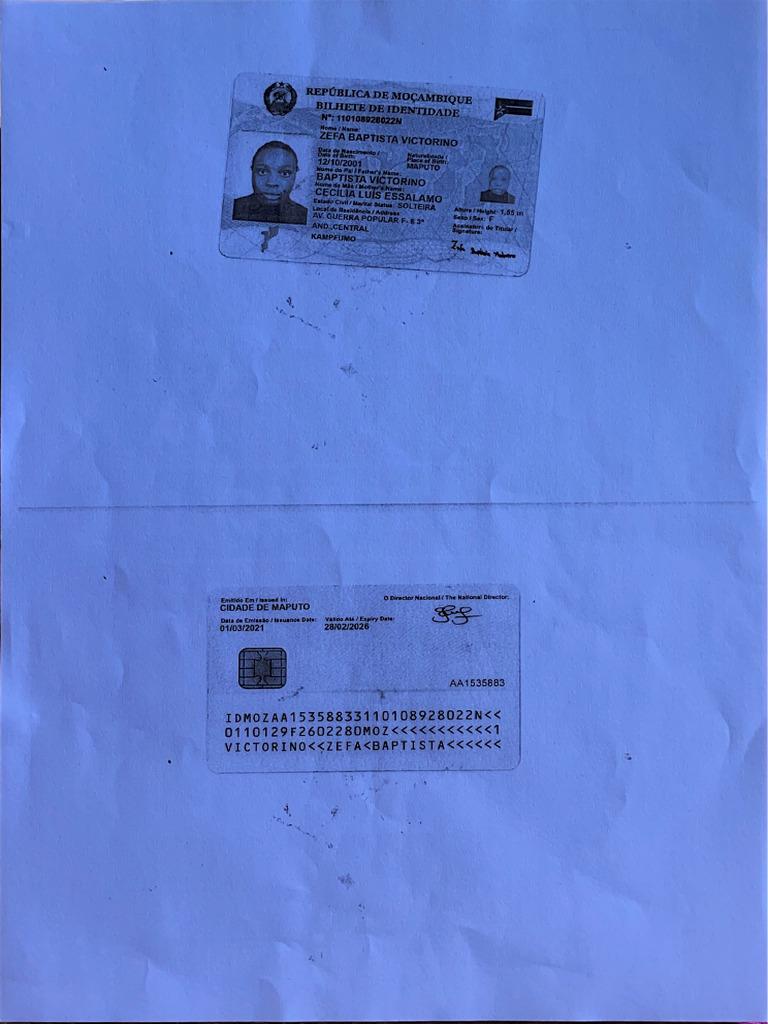 Documento Digitalizado | PDF