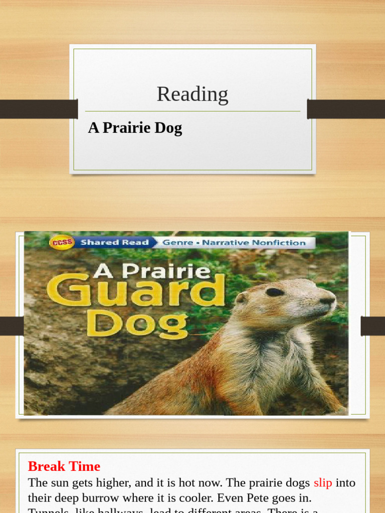A Prairie Dog (Autosaved) - Copy (Autosaved) | PDF