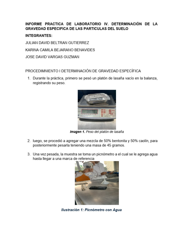 Informe Practica de Laboratorio Iv | PDF | Masa | Agua