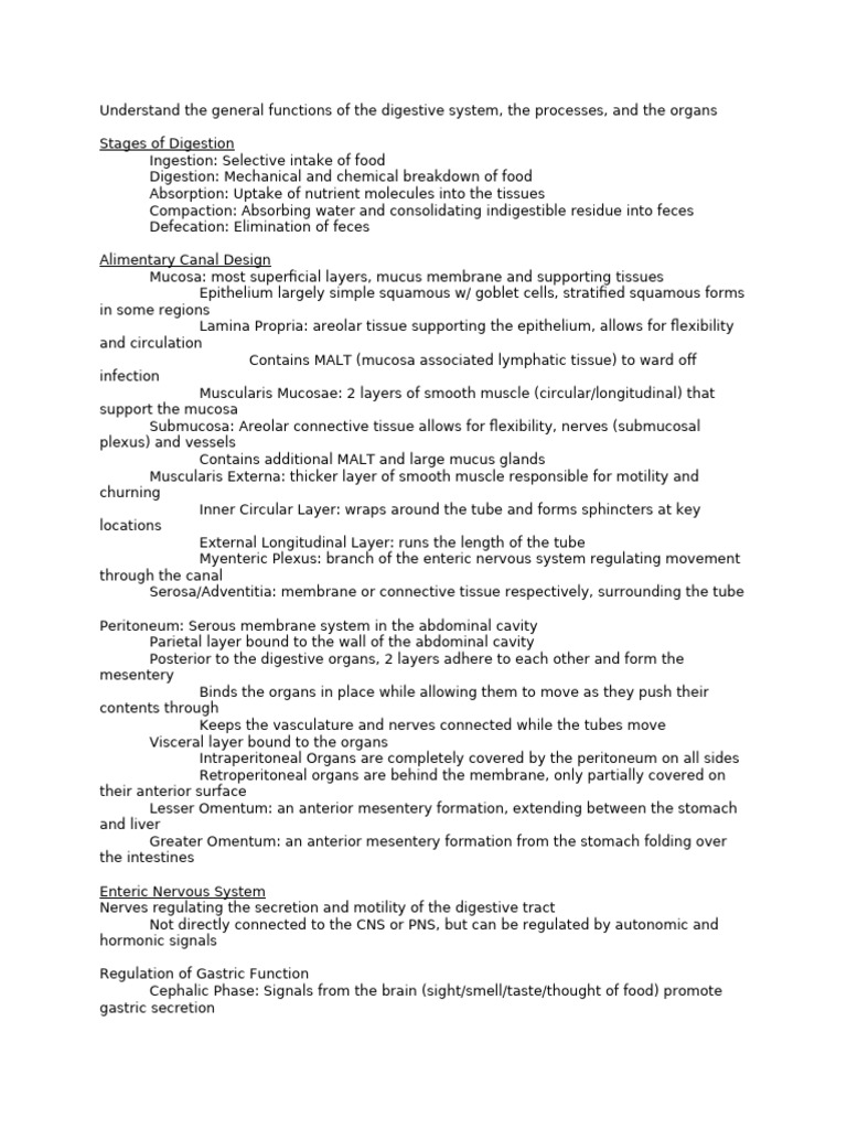 Review Chapter 16 - Digestive System | PDF | Human Digestive System ...
