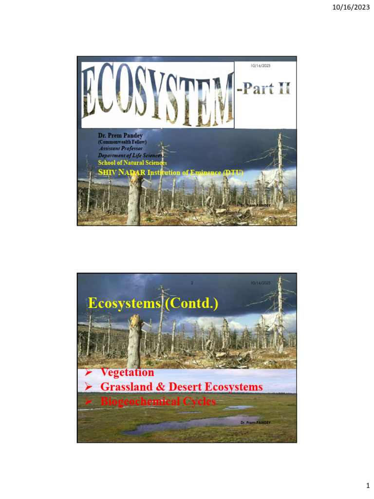 Ecosystems: Vegetation and Grasslands | PDF | Carbon Cycle | Vegetation