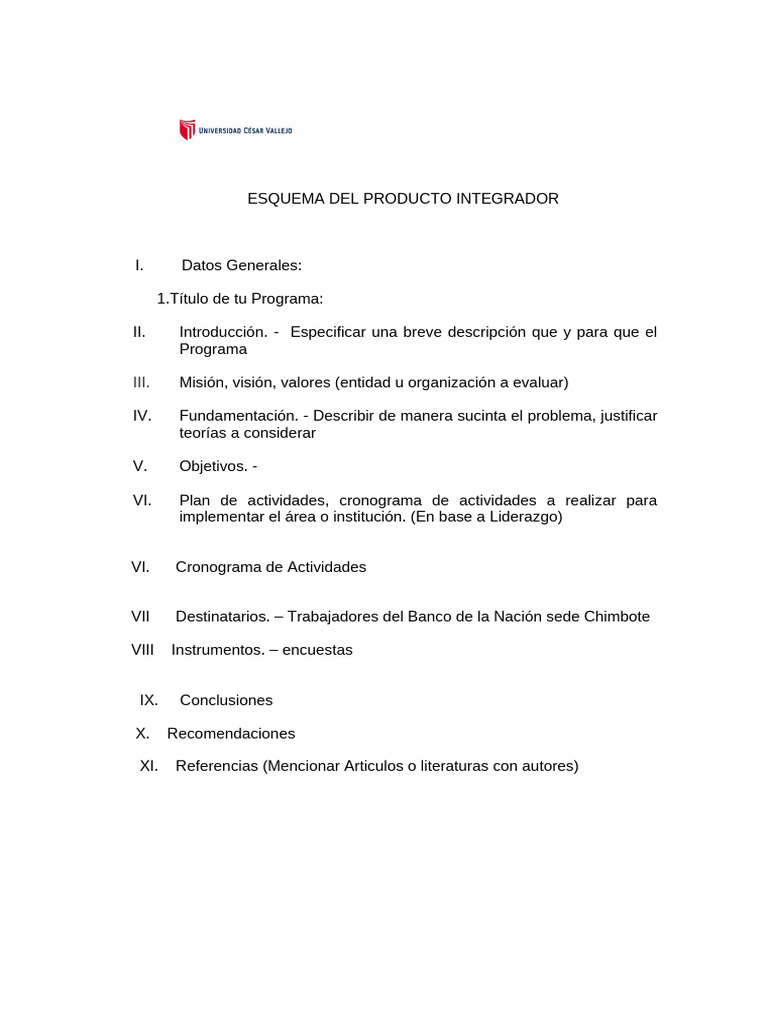 ESQUEMA DEL PRODUCTO INTEGRADOR | PDF