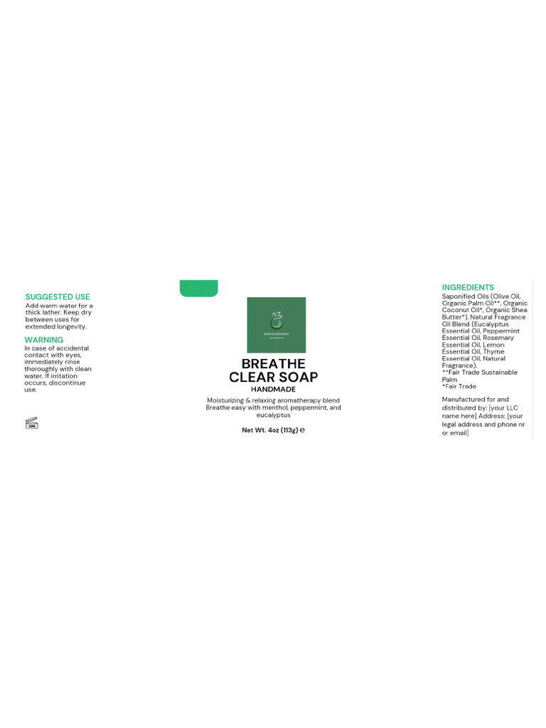Soap | PDF