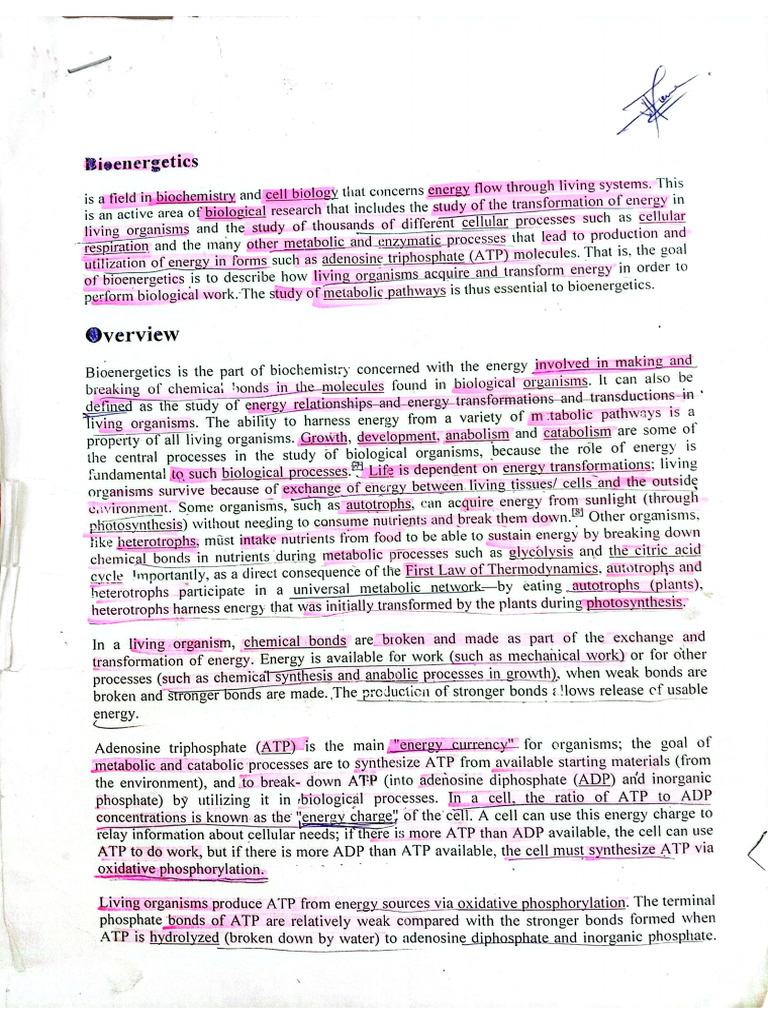 Bioenergetics Overview Chem-433 | PDF