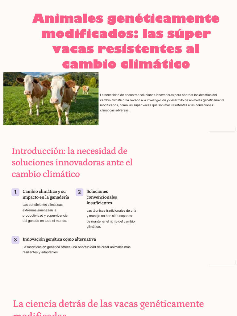Animales Geneticamente Modificados Las Super Vacas Resistentes Al ...