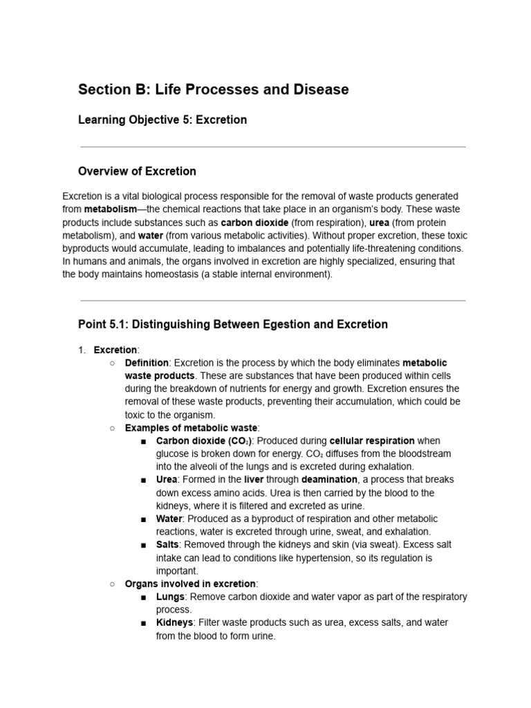 Biology - Study Notes - Excretion and Homeostasis | PDF | Respiratory ...