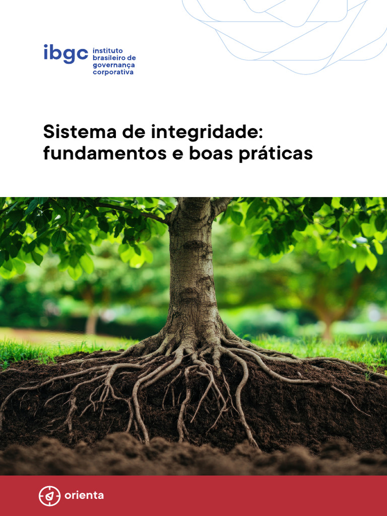 2025 IBGC Sistema de Integridade 1 | PDF | Governança | Cultura ...