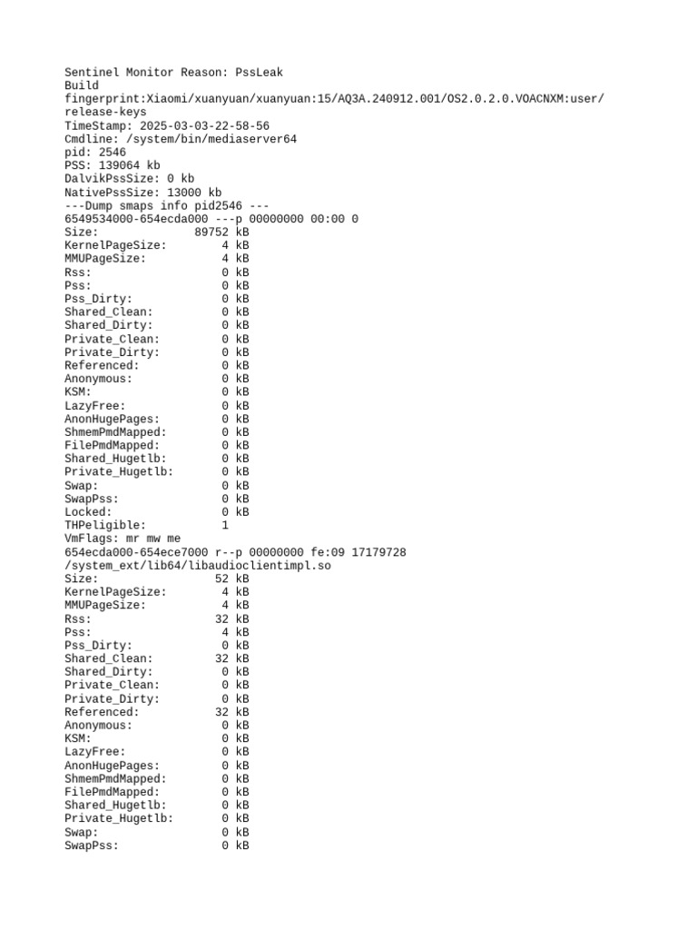 ASHMEM_LEAK_system.bin.mediaserver64_2546_2025-03-03-22-58-56 | PDF
