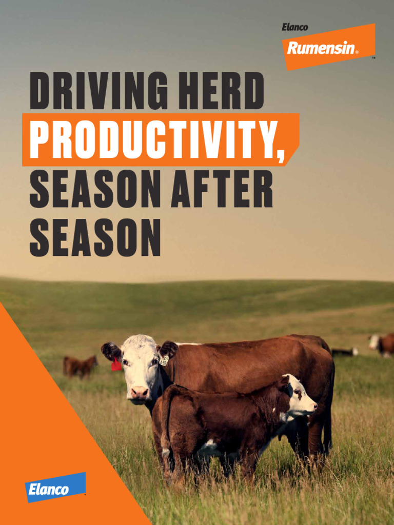 Rumensin For Beef Cows Deta | PDF | Cattle | Livestock