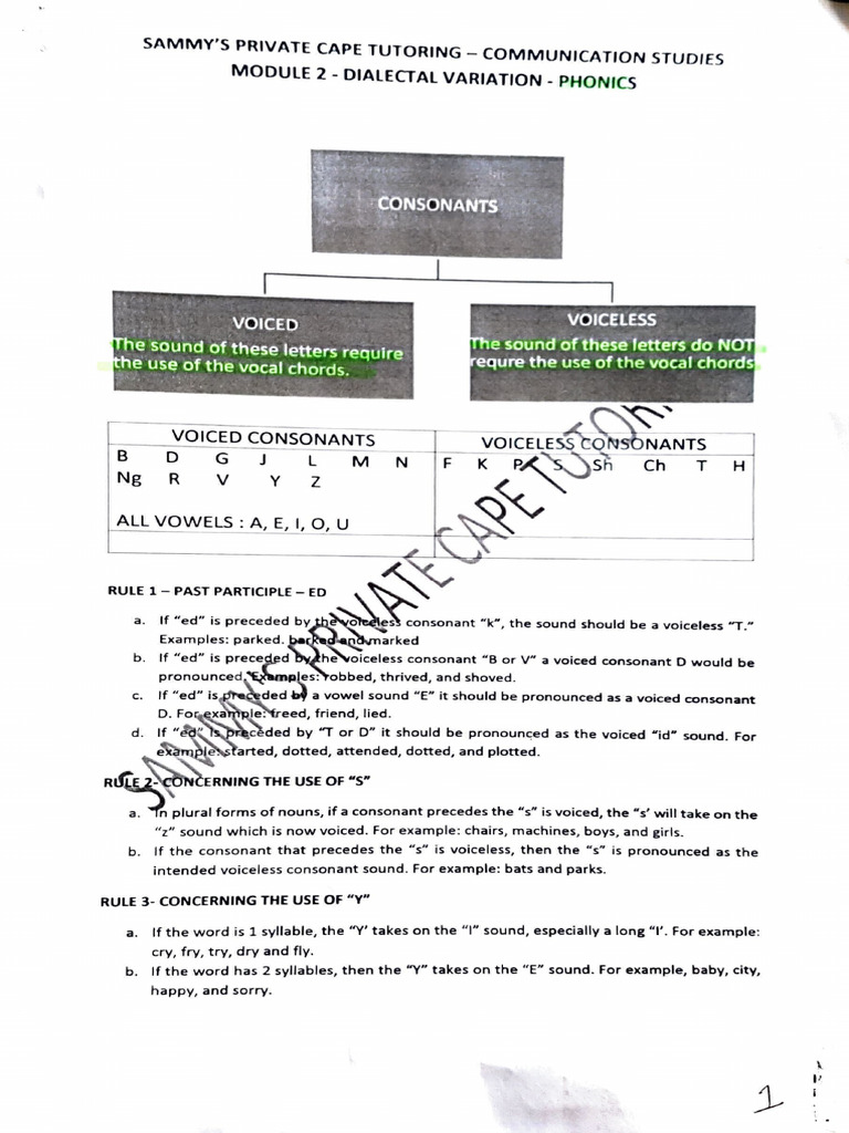 Phonics and Dialect Variation Guide | PDF | Consonant | English Language