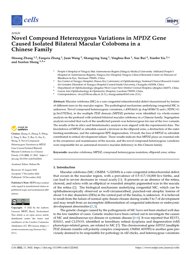 Zhang 2022. Novel Compound Heterozygous Variations in MPDZ Gene Caused Isolated Bilateral ...