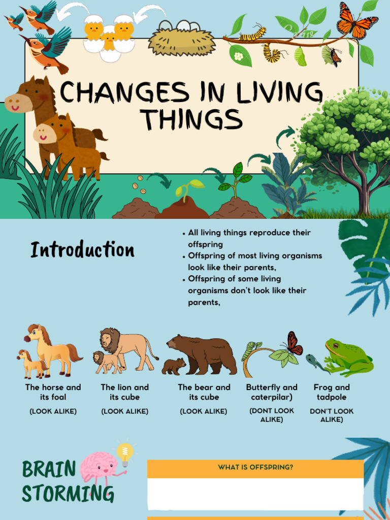 Changes in Living Things | PDF | Pupa | Butterfly