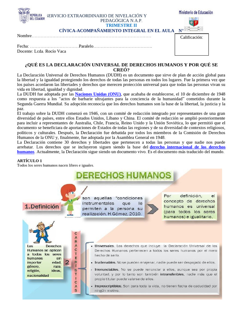 Declaración de Derechos Humanos: Resumen | PDF | Universalismo ...