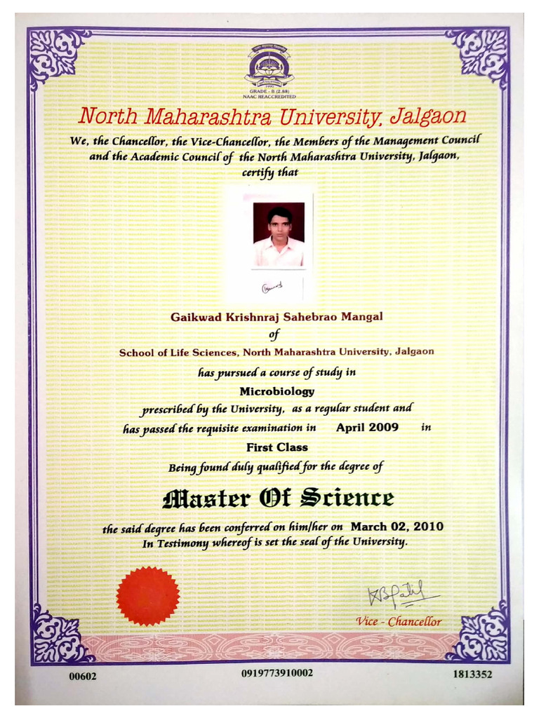 M.Sc. Certificate | PDF