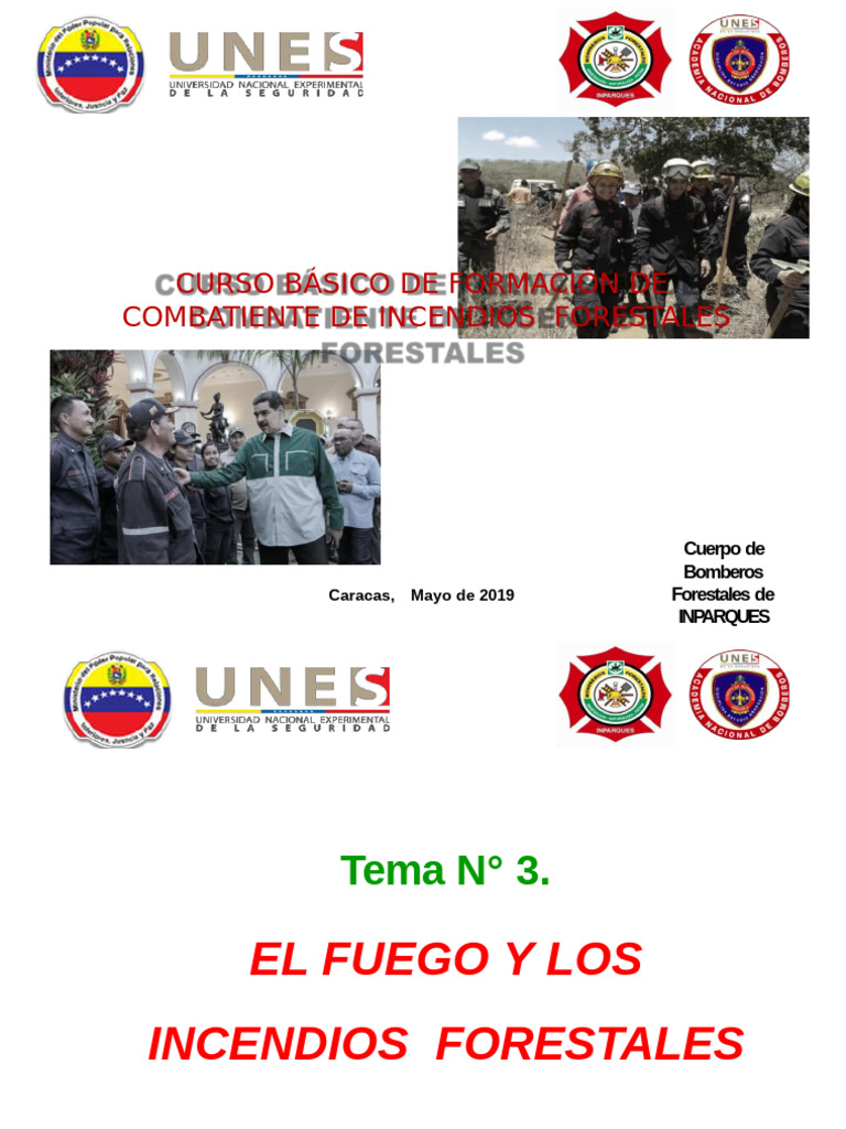 Tema #3.b El Fuego y Los Incendios Forestales | PDF | Fuego fatuo | Incendios