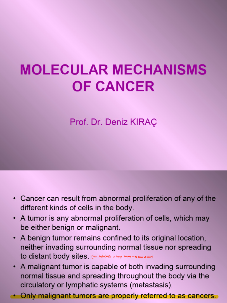 Molecular mechanisms of cancer Zz7 | PDF | Oncogene | Extracellular ...