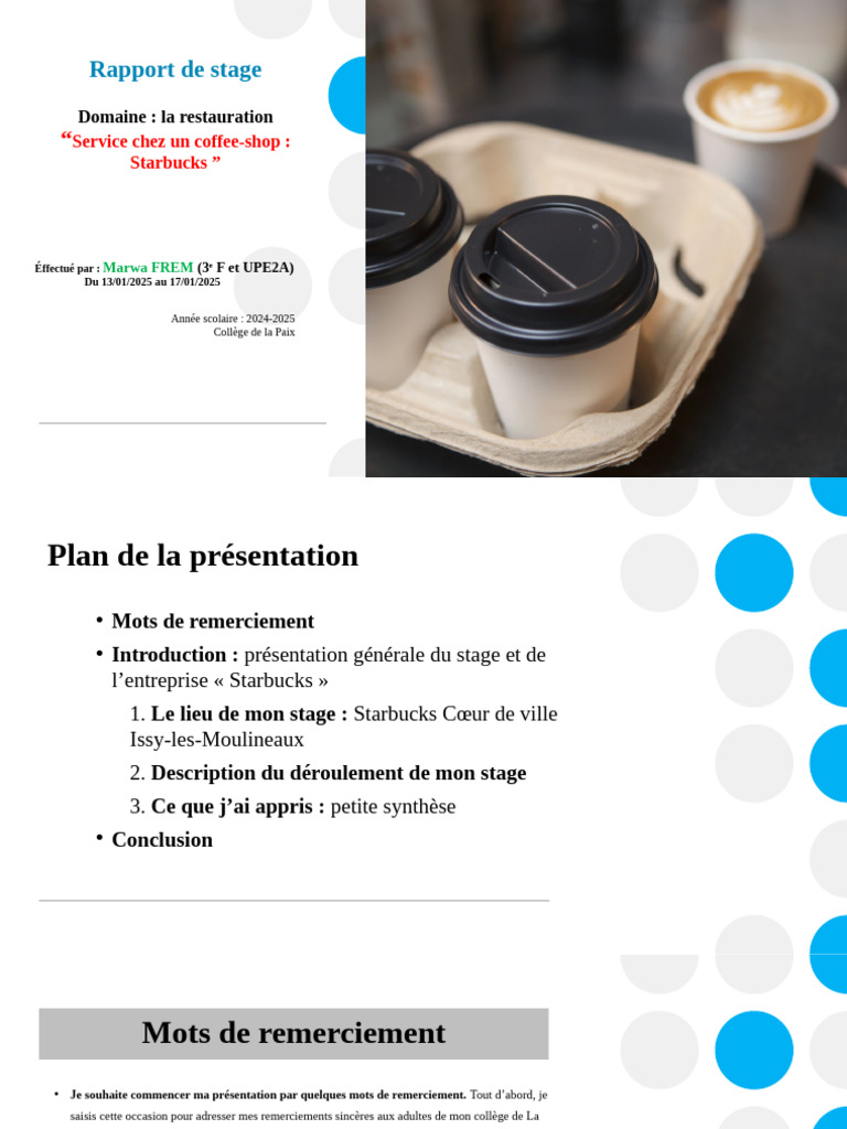 Rapport de Stage-Présentation Orale-Marwa FREM-3F-mars 2025 | PDF ...