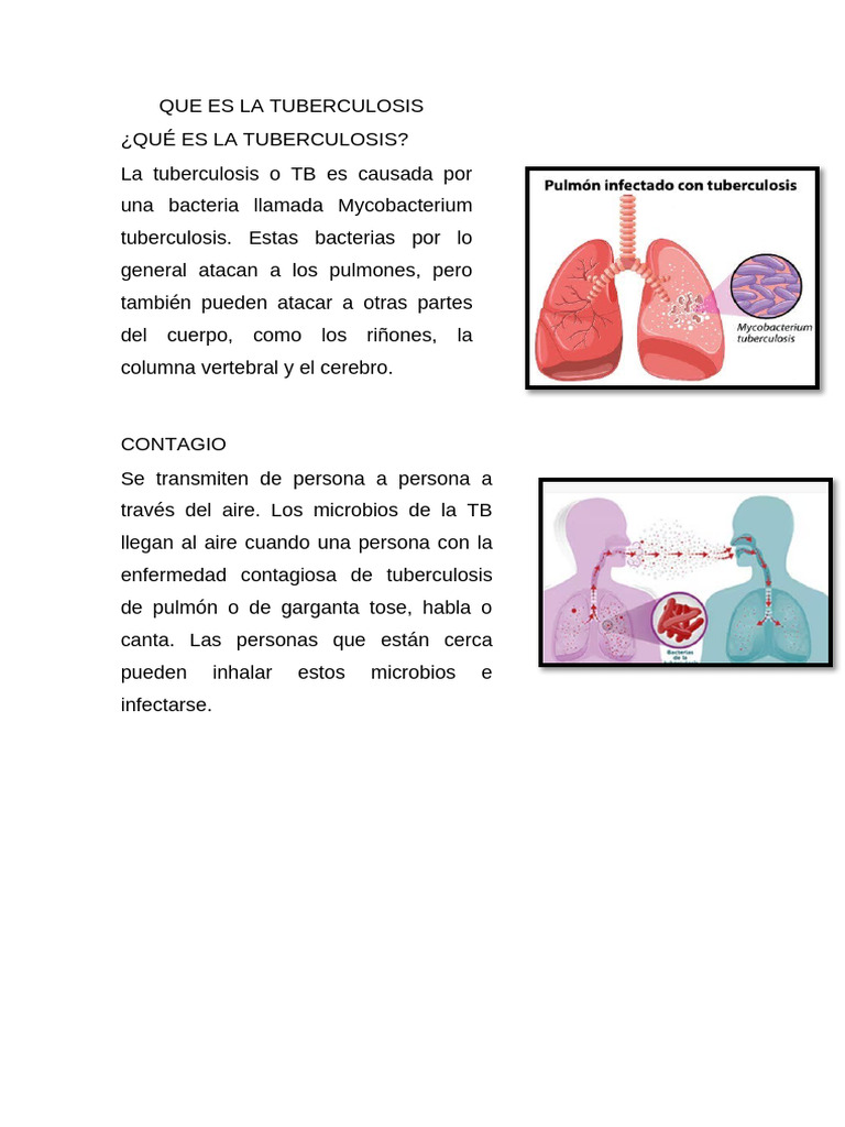 Definición y contagio de la tuberculosis | PDF