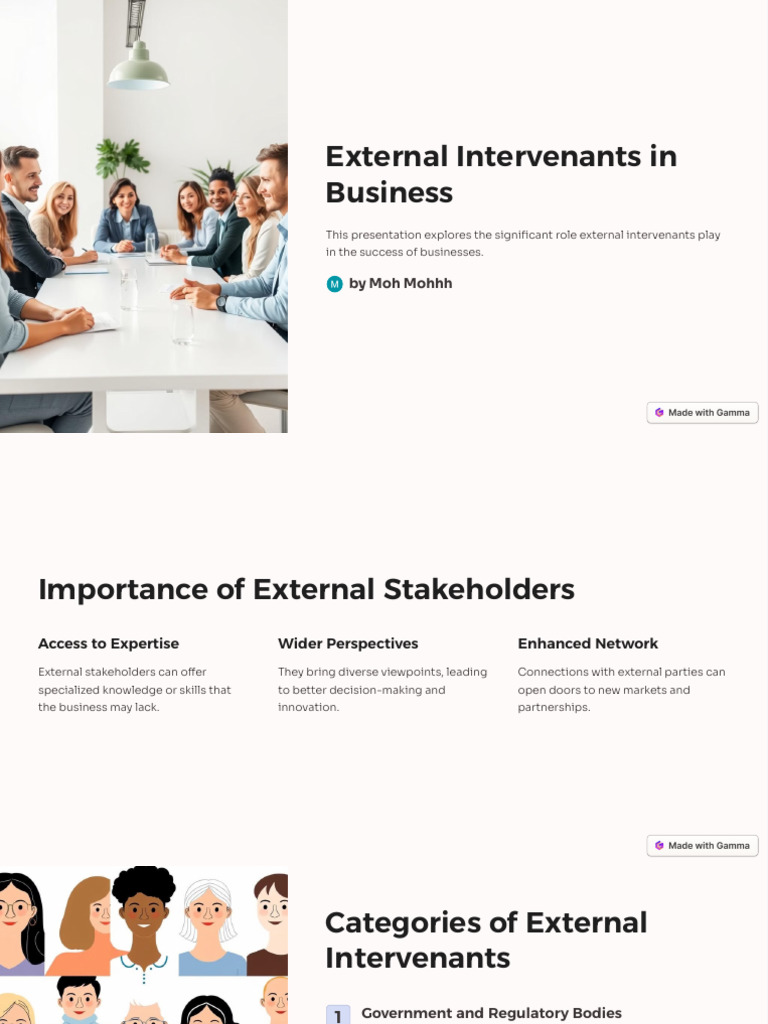 External Intervenants in Business | PDF | Collaboration | Market ...