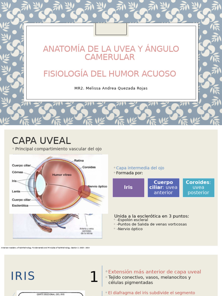 Uvea J Angulo Camerular y Fisiología Del Humor Acuoso | PDF | Ojo ...