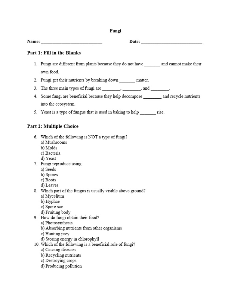 Fungi Worksheet with Answers | PDF