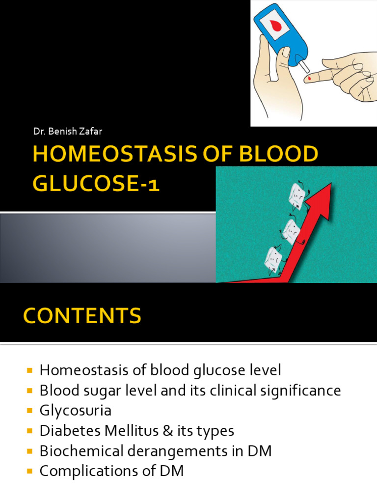 Homeostasis of Blood Sugar-1 | PDF | Glucose | Cortisol