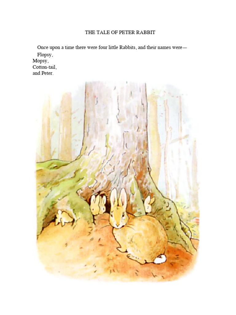 The Tale of Peter Rabbit Summary | PDF