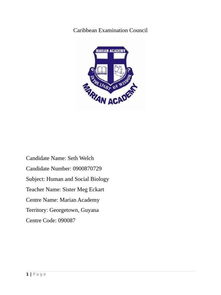 HSB SBA Completed - Docx With Final Corrections 1 | PDF | Learning ...