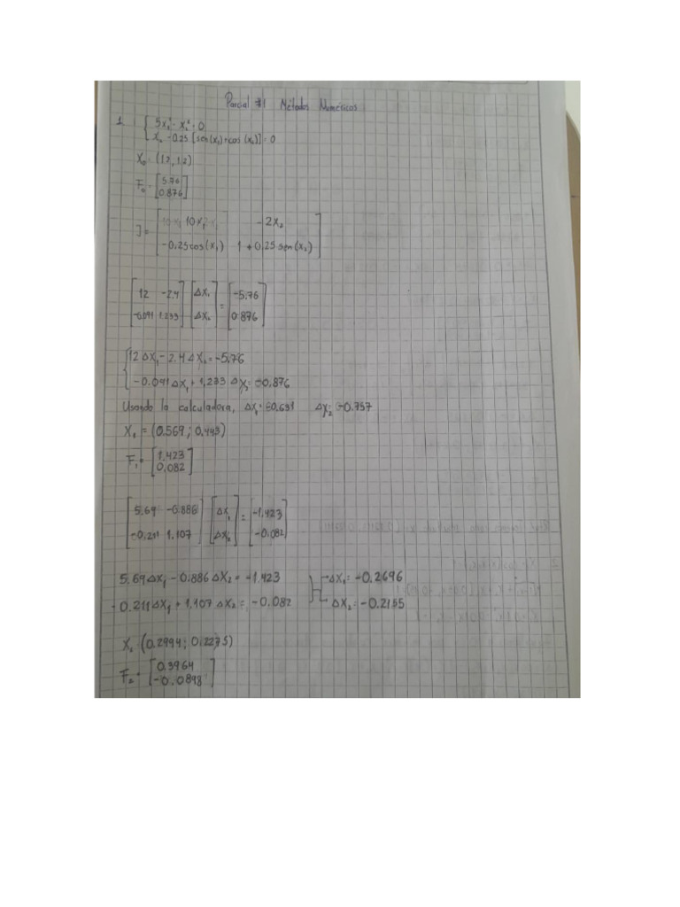 Parcial 1 Pedro | PDF | Análisis matemático | Matemáticas Aplicadas