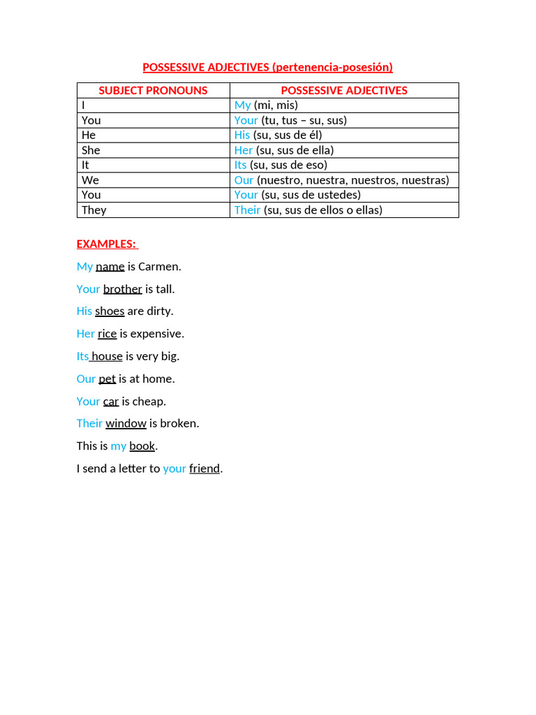 Spanish Possessive Adjectives Guide | PDF