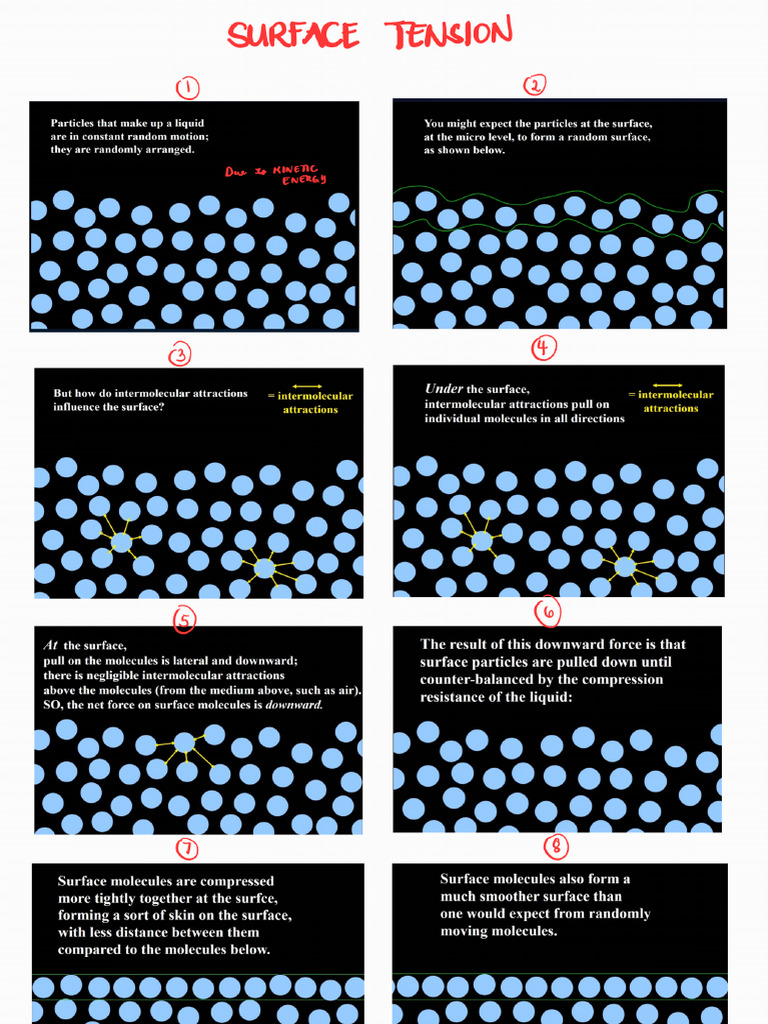 Surface-Tension Video | PDF