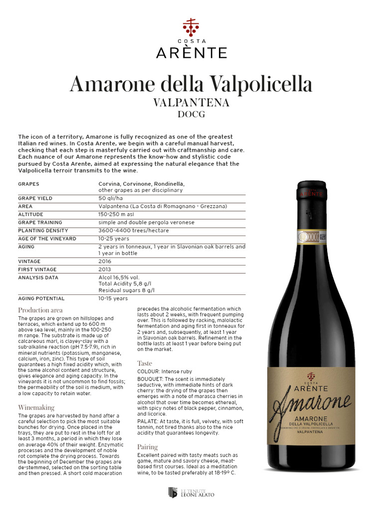 Amarone della Valpolicella DOCG Guide | PDF | Grape | Fermented Drinks