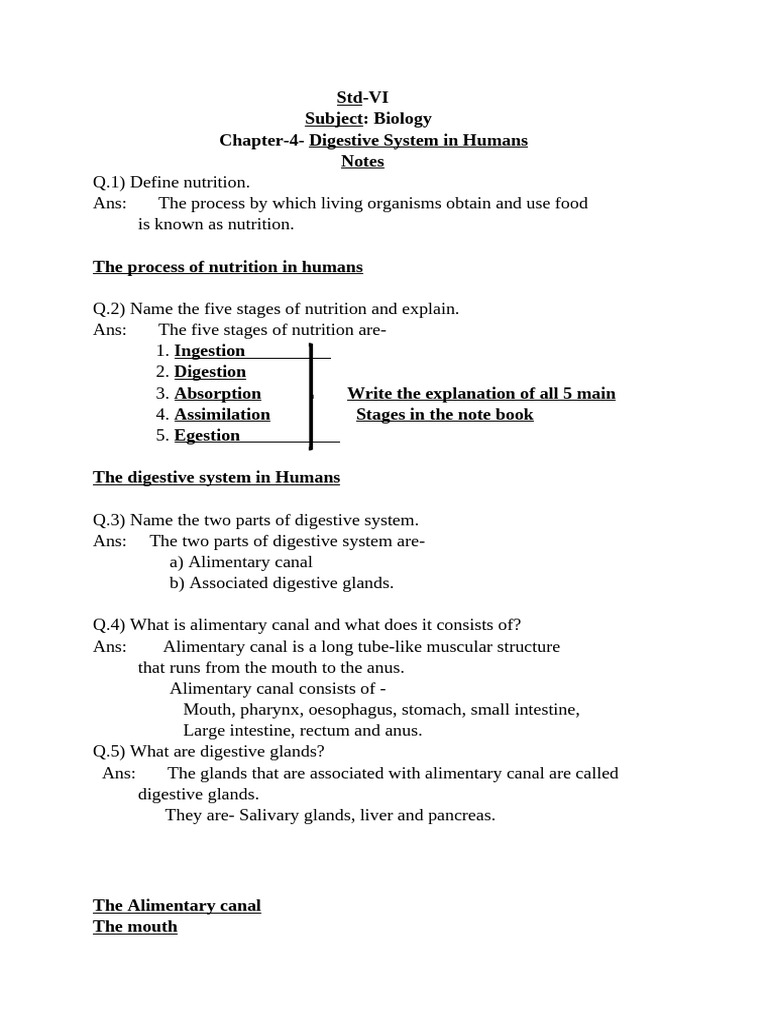 Digestive System in Humans: Key Concepts | PDF | Digestion | Stomach