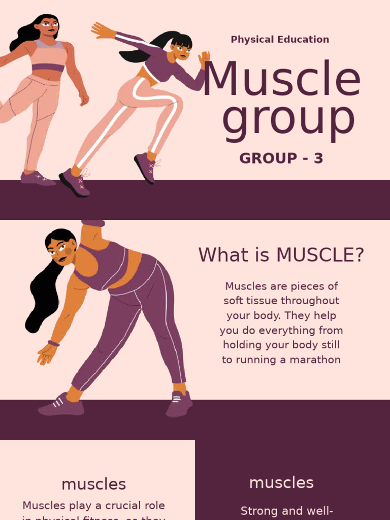 Understanding Major Muscle Groups | PDF | Anatomical Terms Of Motion ...