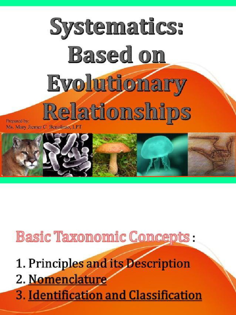 Systematics Based On Evolutionary Relationship | PDF