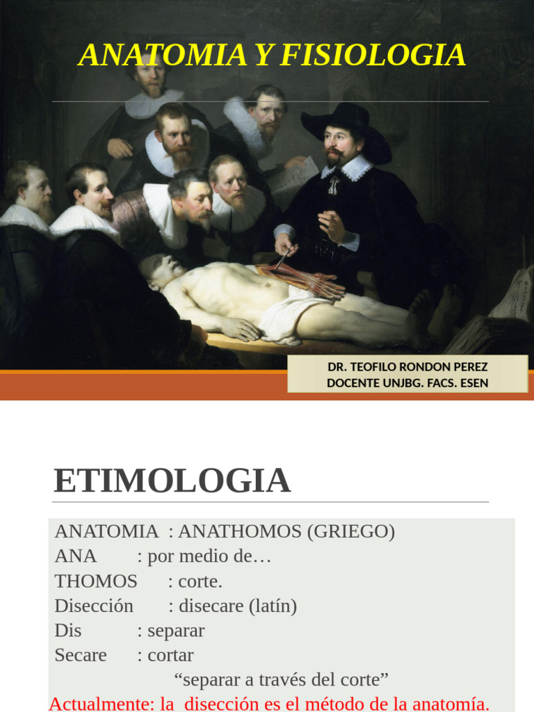 Terminos Anatomicos | PDF | Anatomía | Ciencias de la vida