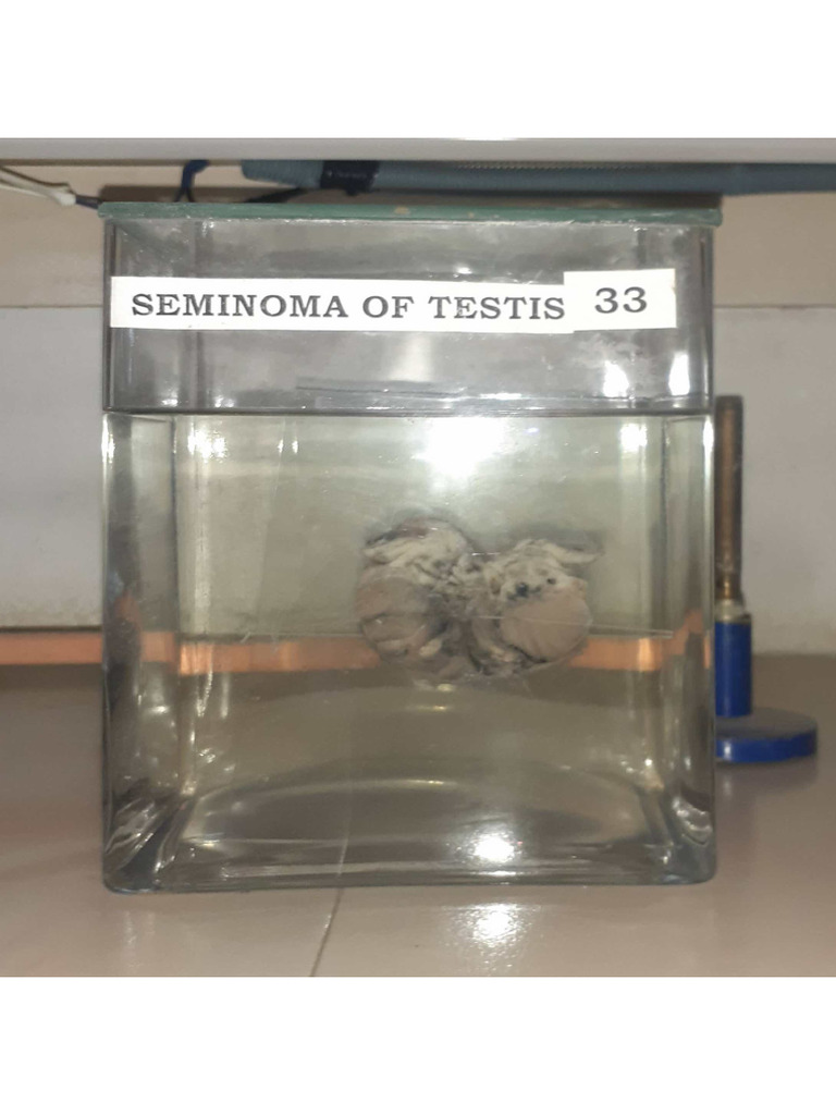 Patho gross specimens-matter | PDF