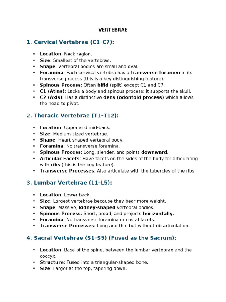 Overview of Human Vertebrae Types | PDF | Vertebra | Skeletal System
