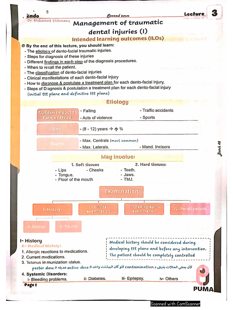 Endo 3 | PDF