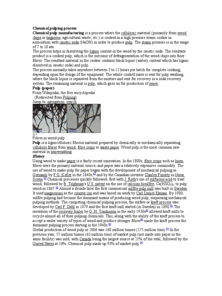 Chemical Pulping Process | PDF | Pulp (Paper) | Paper