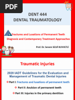 Ellis Tooth Fracture Classification Guide | PDF