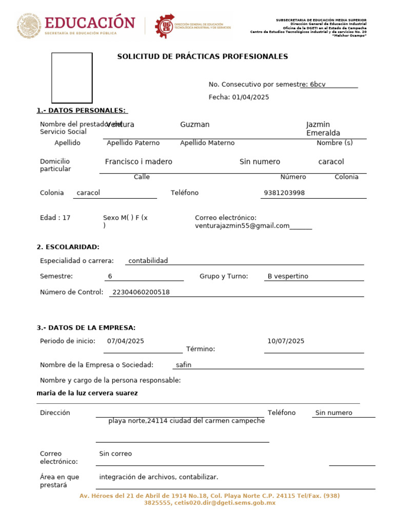 Formato de Solicitud de Prácticas Profesionales 2025 .2 | PDF