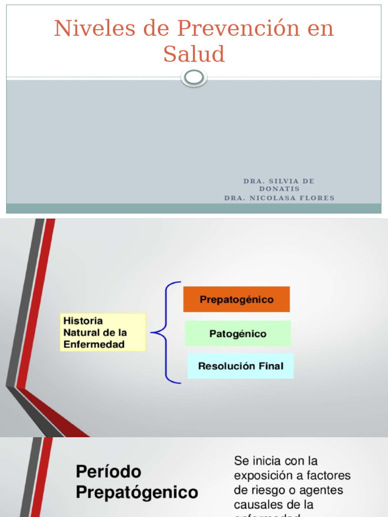 Niveles de Prevencion | PDF