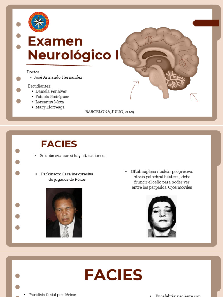 Neuro II | PDF | Afasia | Percepción visual