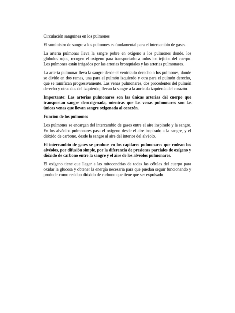Circulación Sanguínea en Los Pulmones | PDF