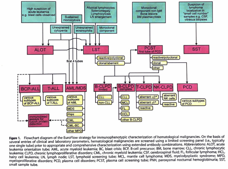 Grafic algoritm imunofenotipare | PDF