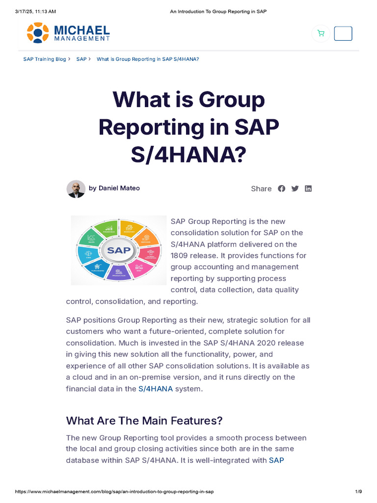 Introduction To Group Reporting in SAP S4 HANA | PDF | Data | Computing