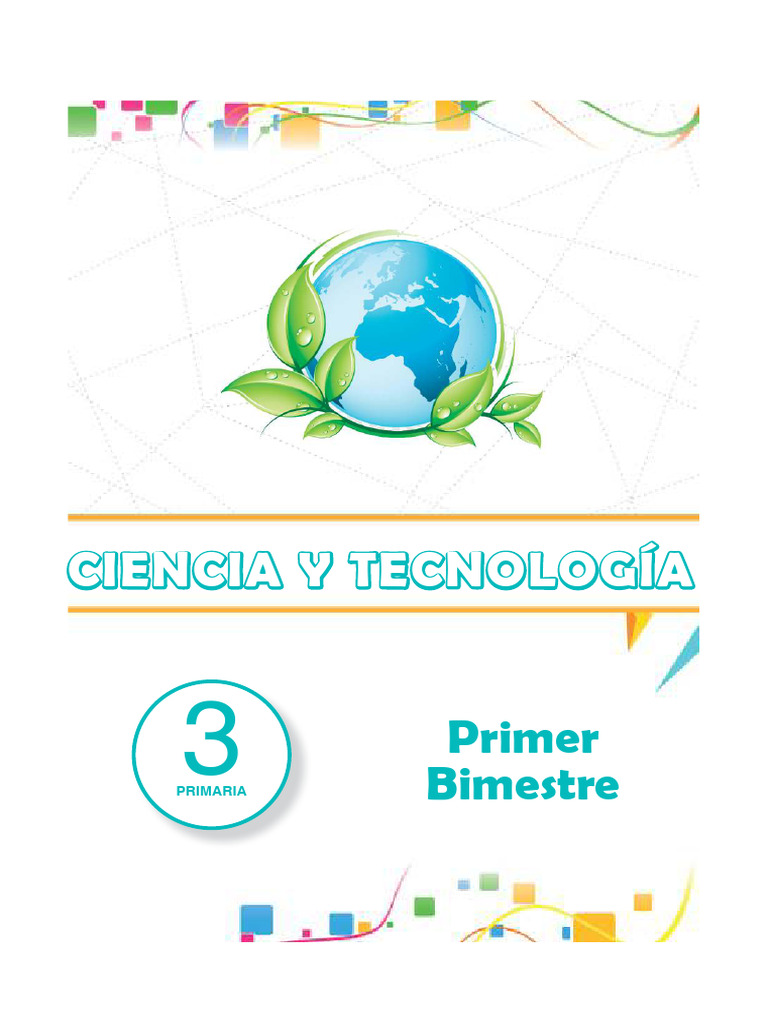 Cyt - 3p - Anual - Miraf. School | PDF | Ojo | Percepción visual
