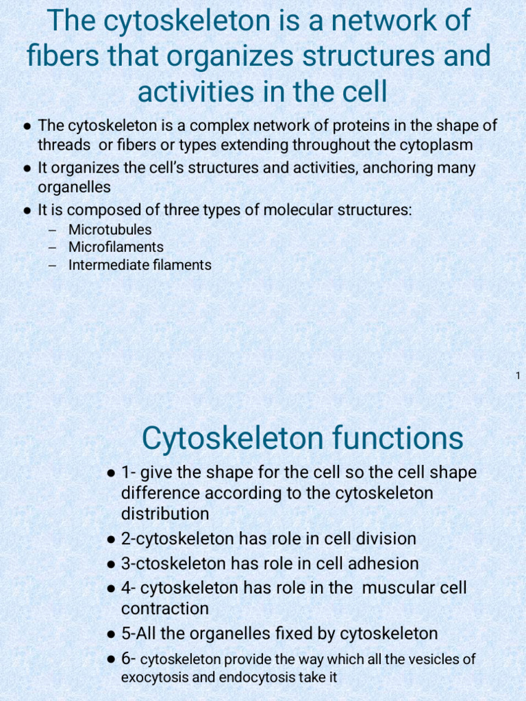 Functions and Structure of Cytoskeleton | PDF | Cytoskeleton | Microtubule
