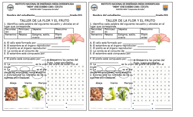 Taller sobre la Flor y el Fruto | PDF | Flores | Plantas